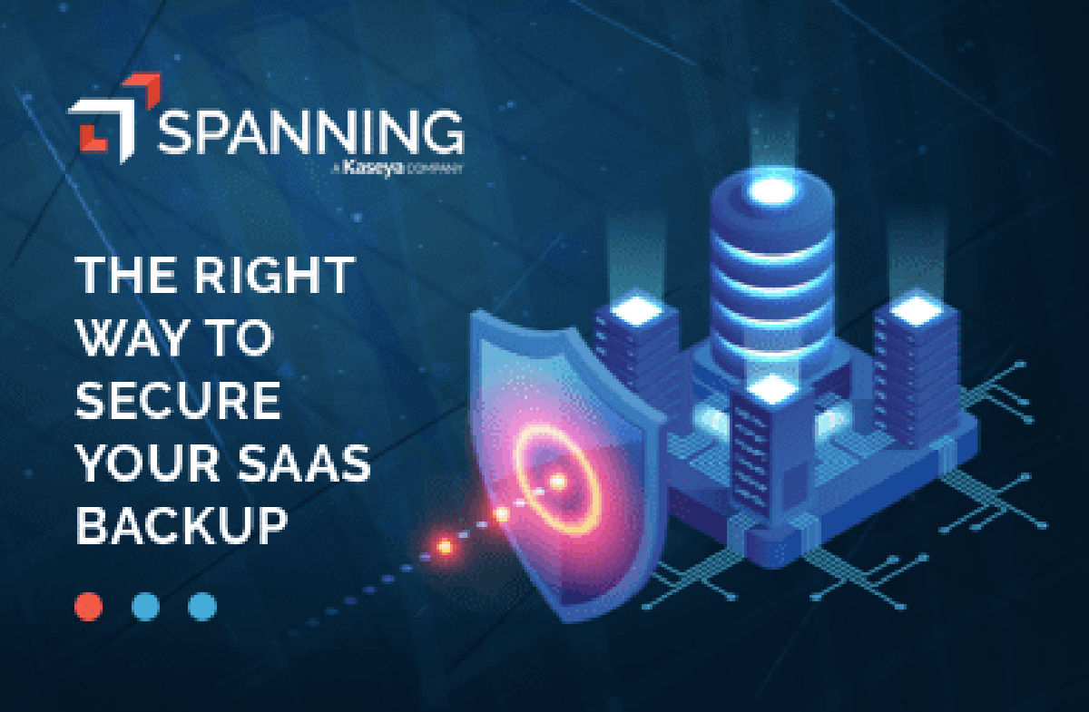 Infographic: The Right Way to Secure Your SaaS Backup | Spanning